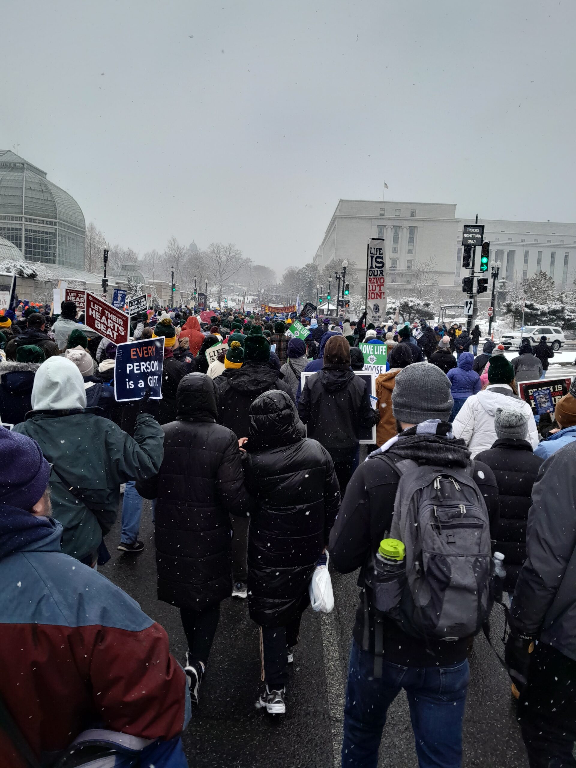 National March for Life 2024 - John Paul II Council #13935
